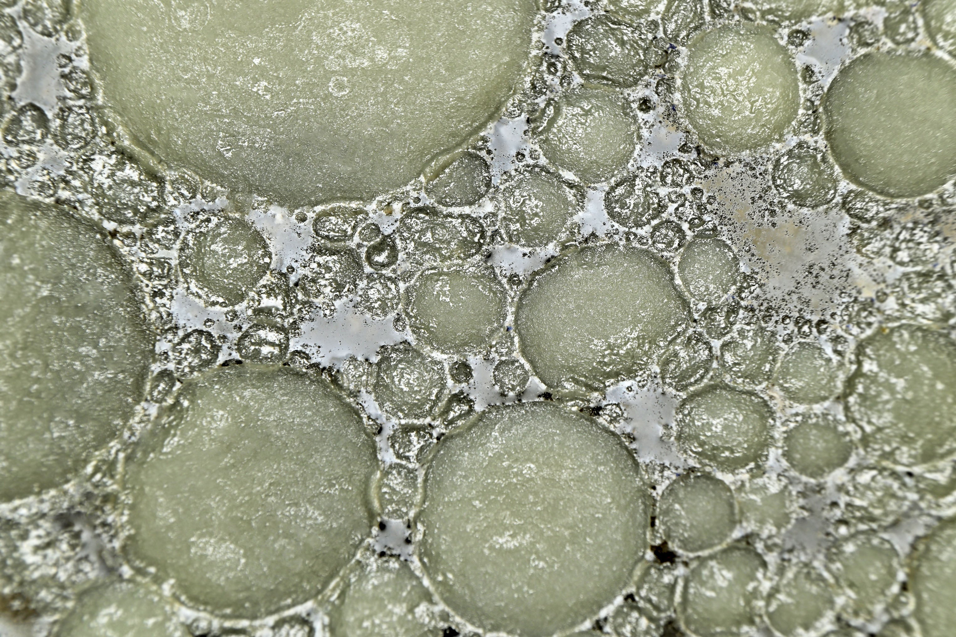 Bonemade - Bone Marrow Tallow Balm Skincare