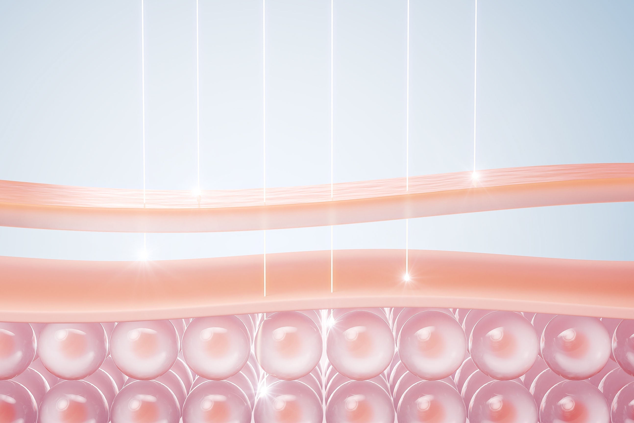 Bonemade - Bone Marrow Tallow Balm Skincare